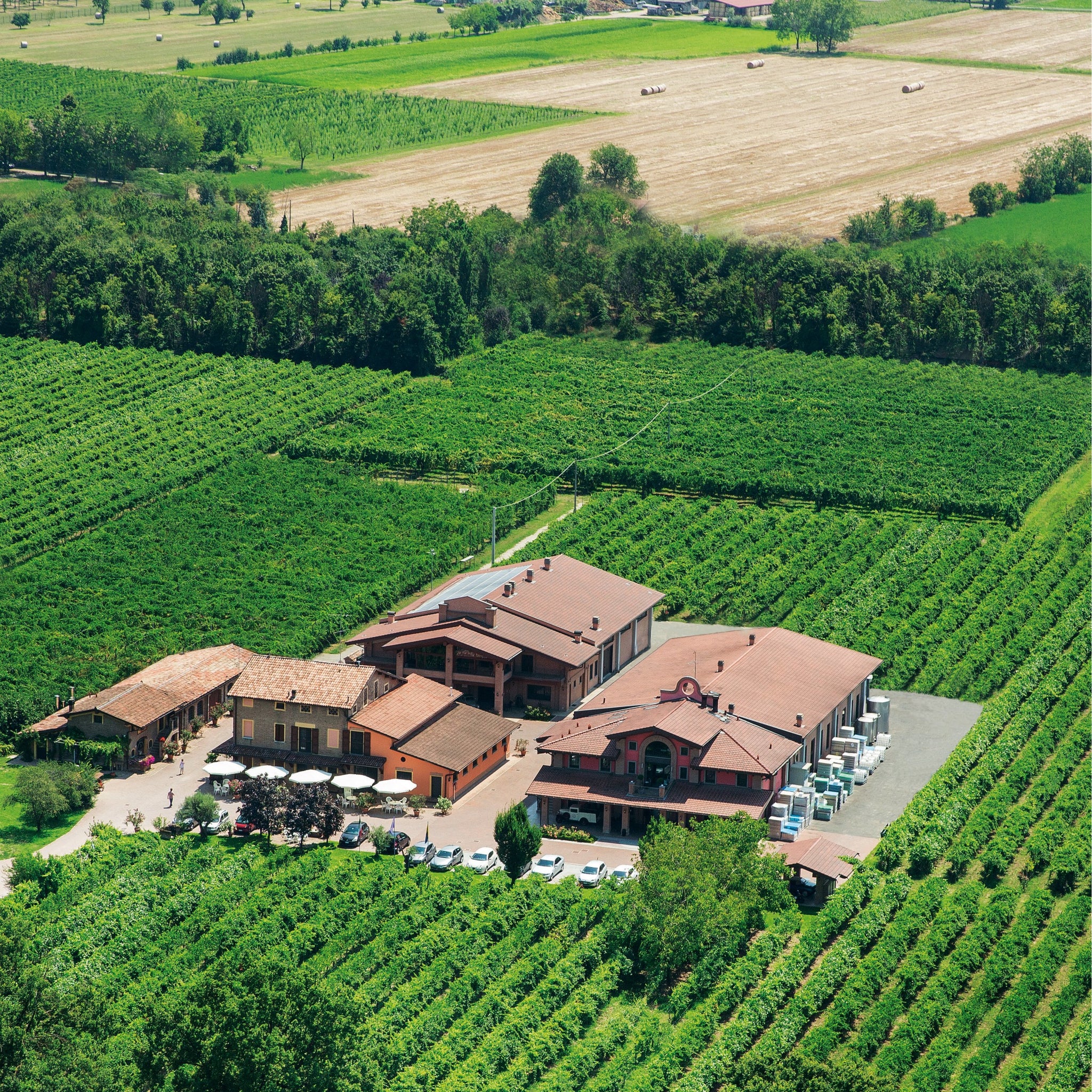 Don Giovanni Aceto Balsamico IGP (15 years) | Vinegar Shed